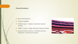 Andreea moraru pachychoroid spectrum of diseases | PDF
