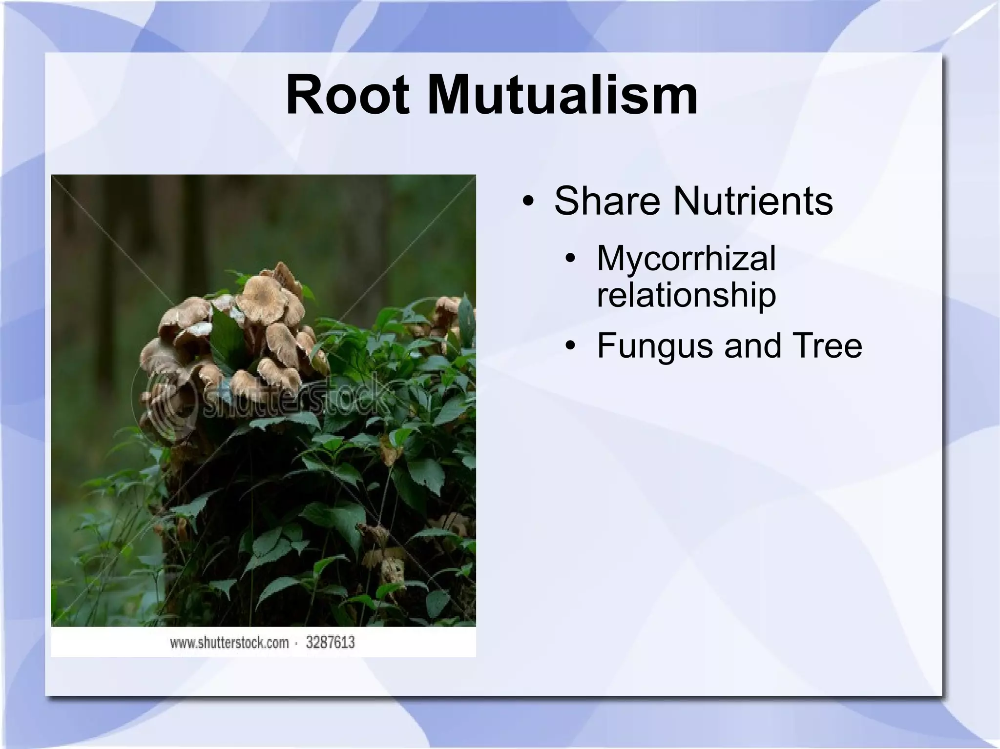 Andre kossivi lab 2 powerpoint | PPT