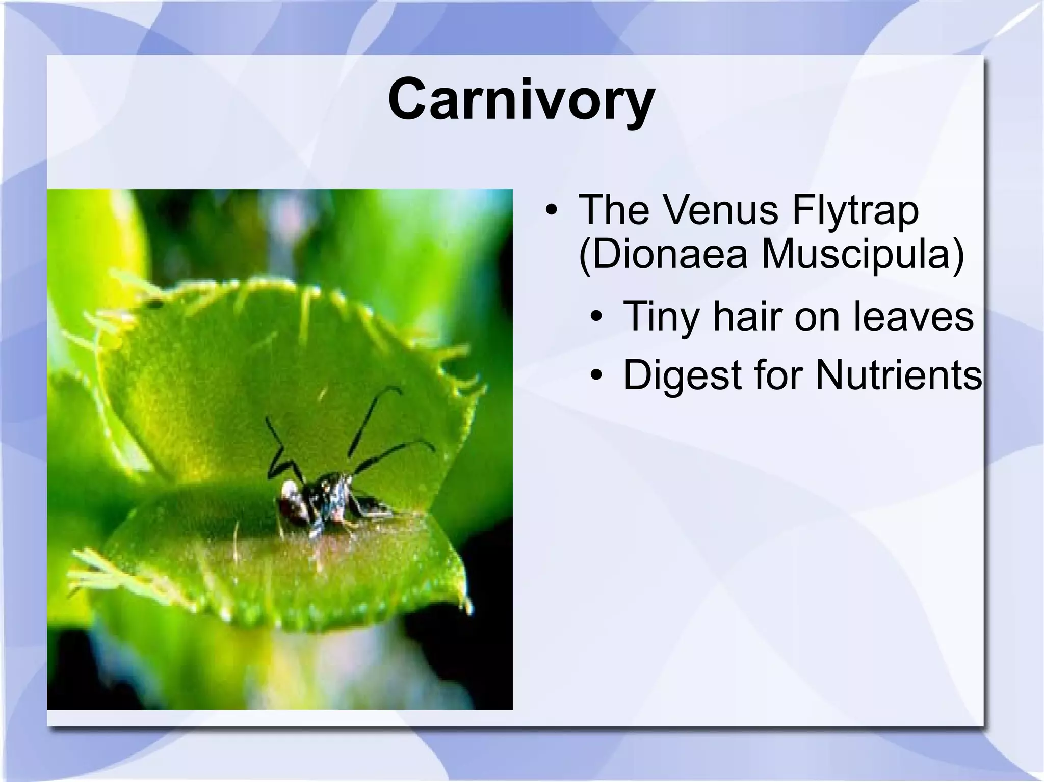 Andre kossivi lab 2 powerpoint | PPT