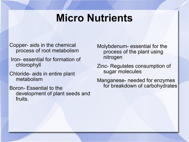 Andre kossivi lab 2 powerpoint | PPT