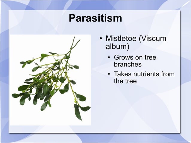 Andre kossivi lab 2 powerpoint | PPT