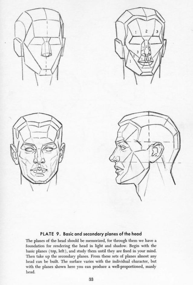 andrew-loomis-drawing-the-head-hands.pdf
