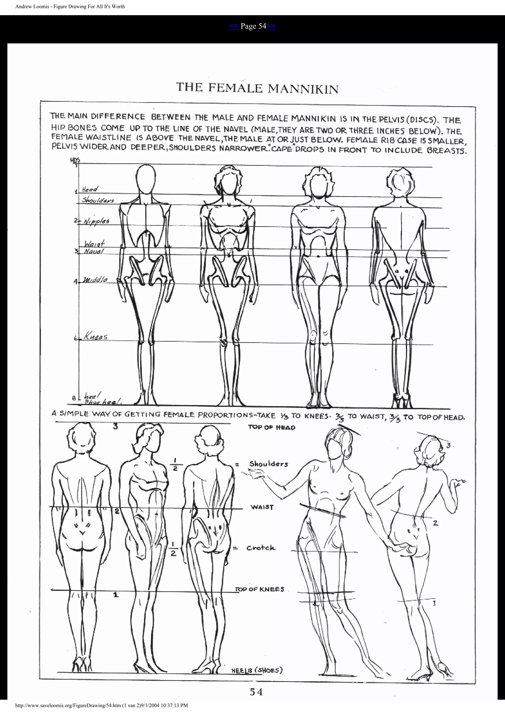 Andrew loomis-figure-drawing-for-all-its-worth(1) | PDF
