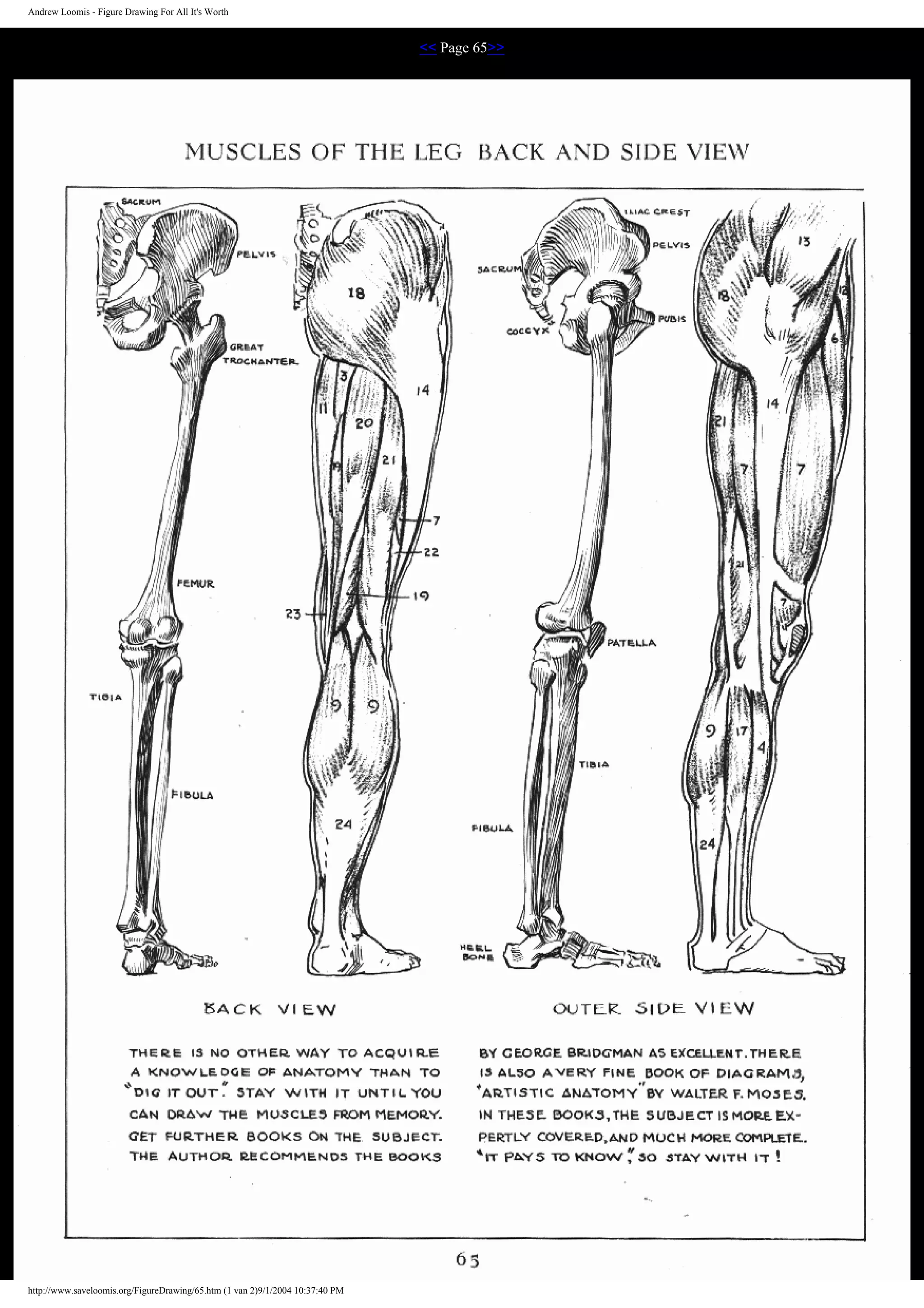 Andrew loomis-figure-drawing-for-all-its-worth(1) | PDF