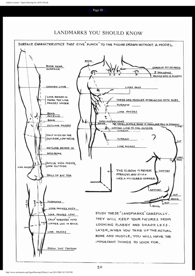 Andrew loomis-figure-drawing-for-all-its-worth(1) | PDF