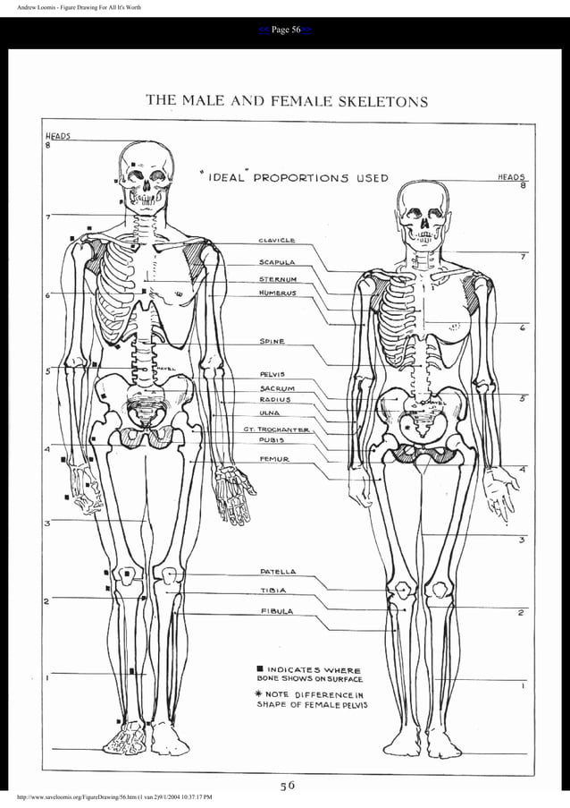 Andrew loomis-figure-drawing-for-all-its-worth(1) | PDF