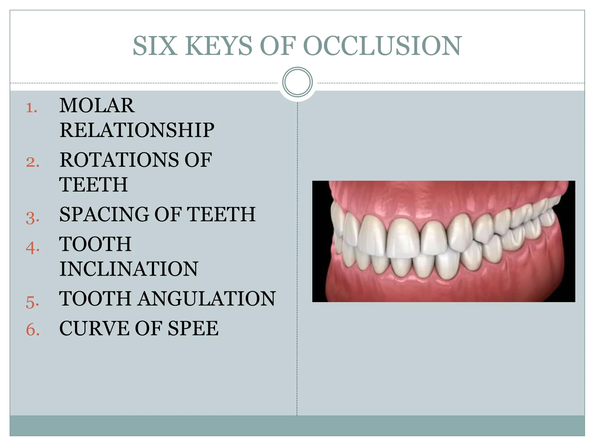 Andrew 6 Keys Of Occlusion 1 Pptx Orthodontics Pptx