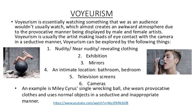 Andrew goodwin’s theory