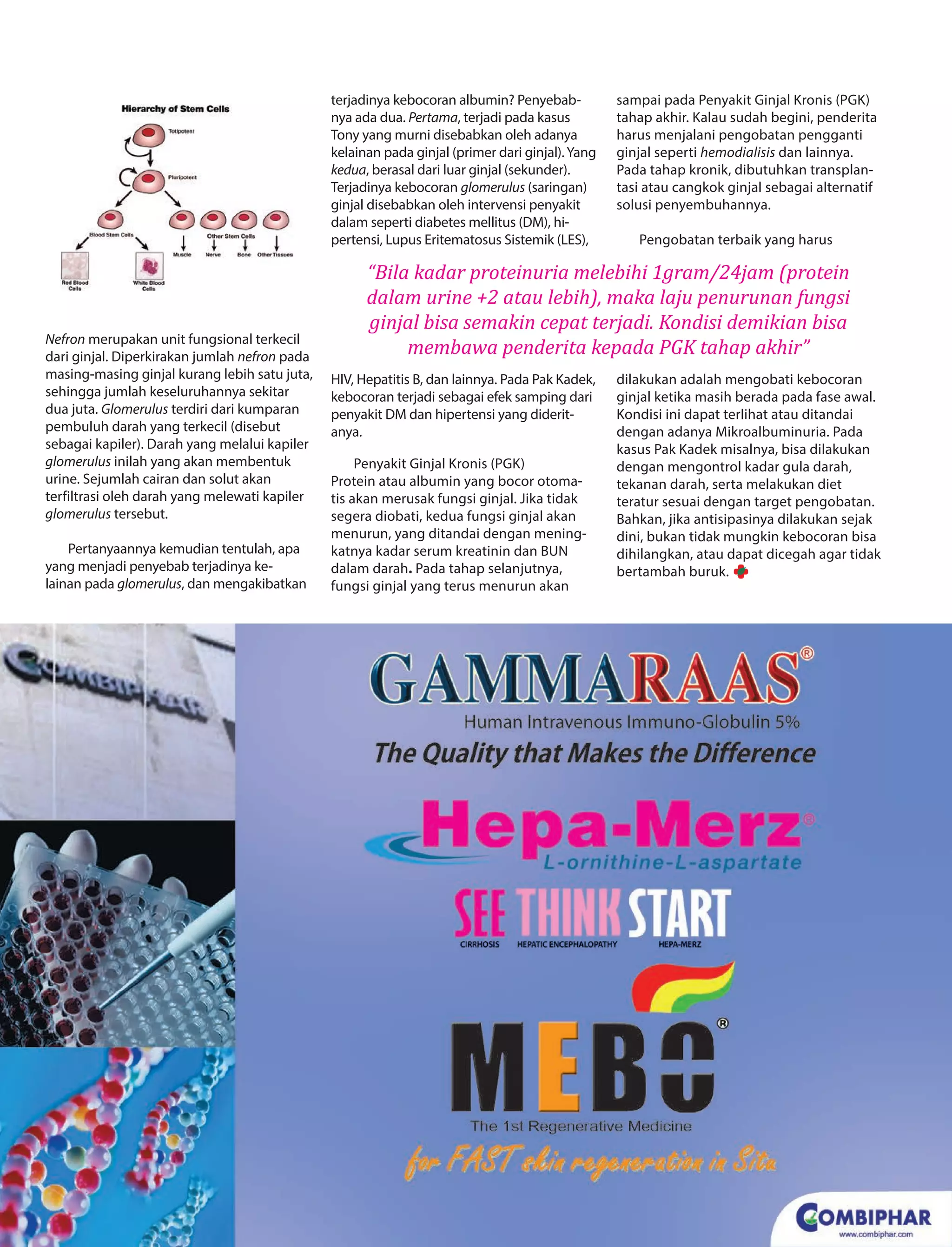 Andrew hidayat tetap sehat di usia mapan | PDF