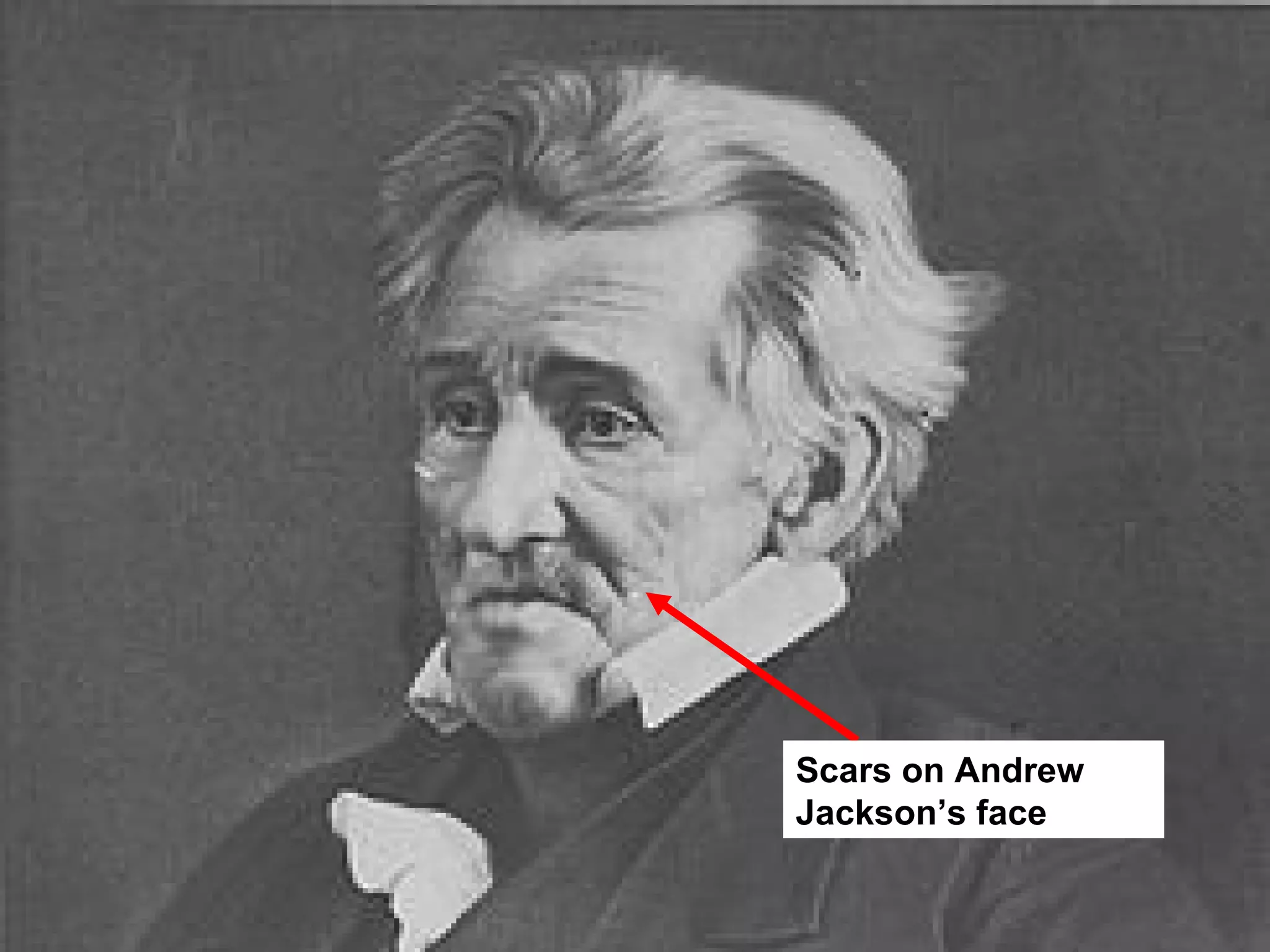 Andrew jackson | PPT