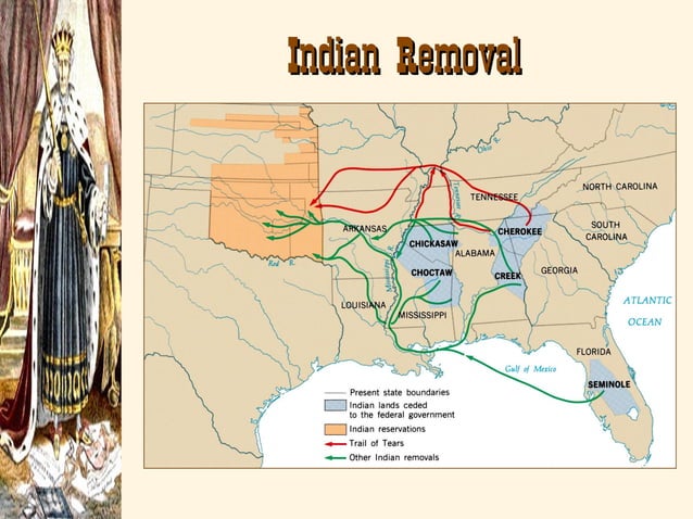 Andrew jackson 2 | PPT