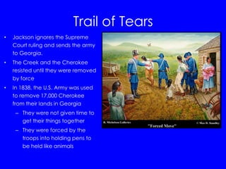 Andrew Jackson the Common Man's President | PPTX