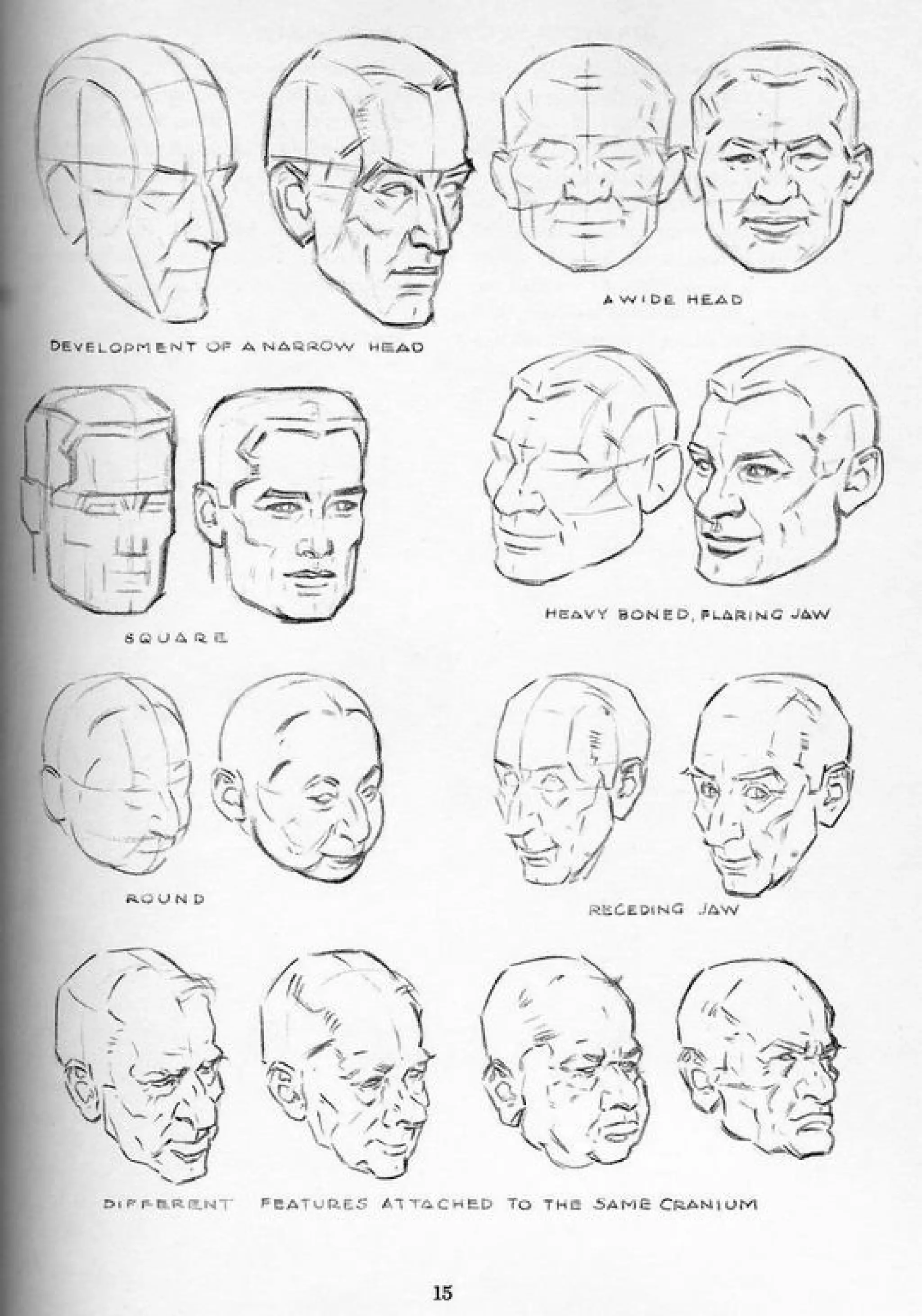 Andrew loomis drawing the head and hands | PDF