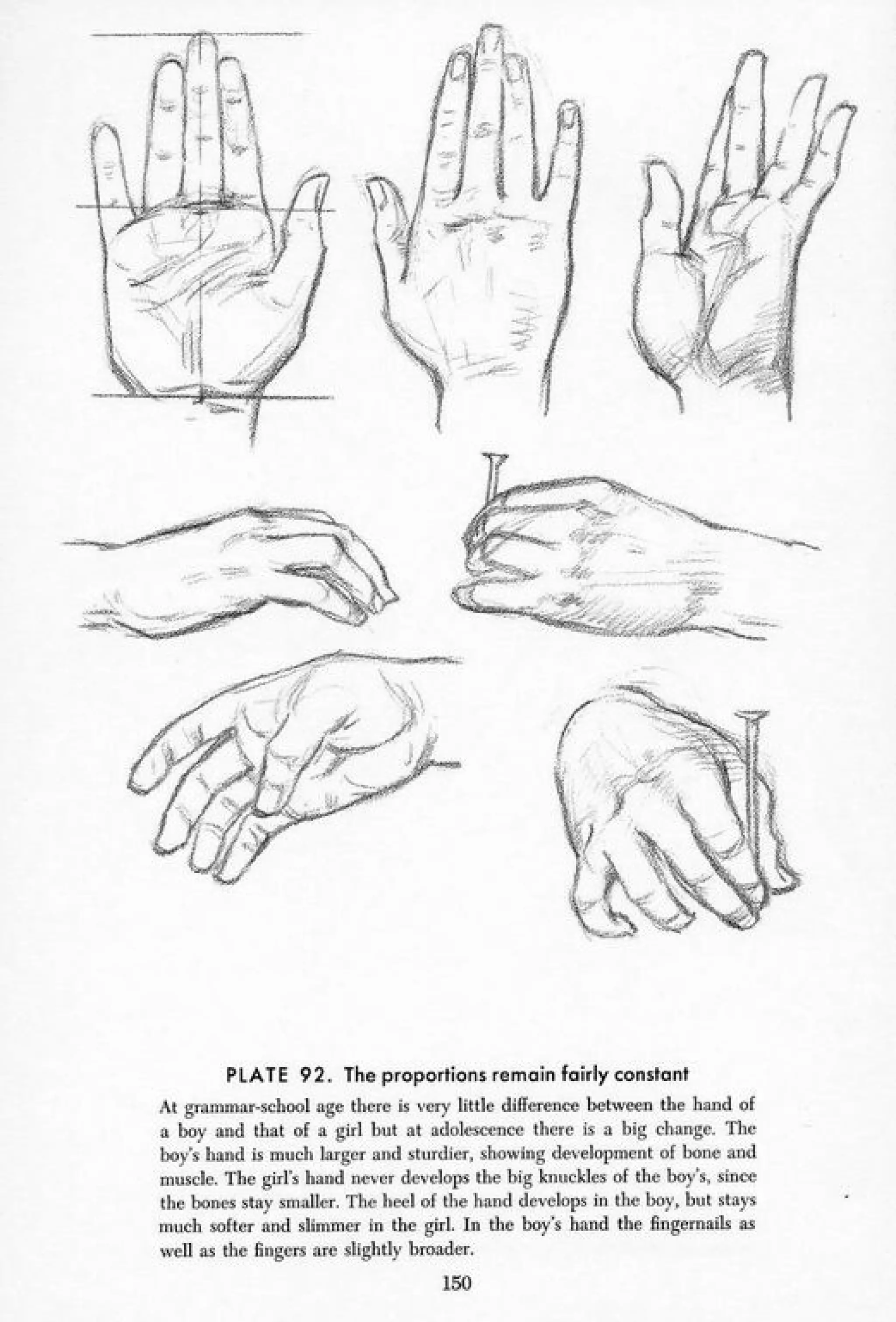 Andrew Loomis Drawing The Head And Hands Pdf