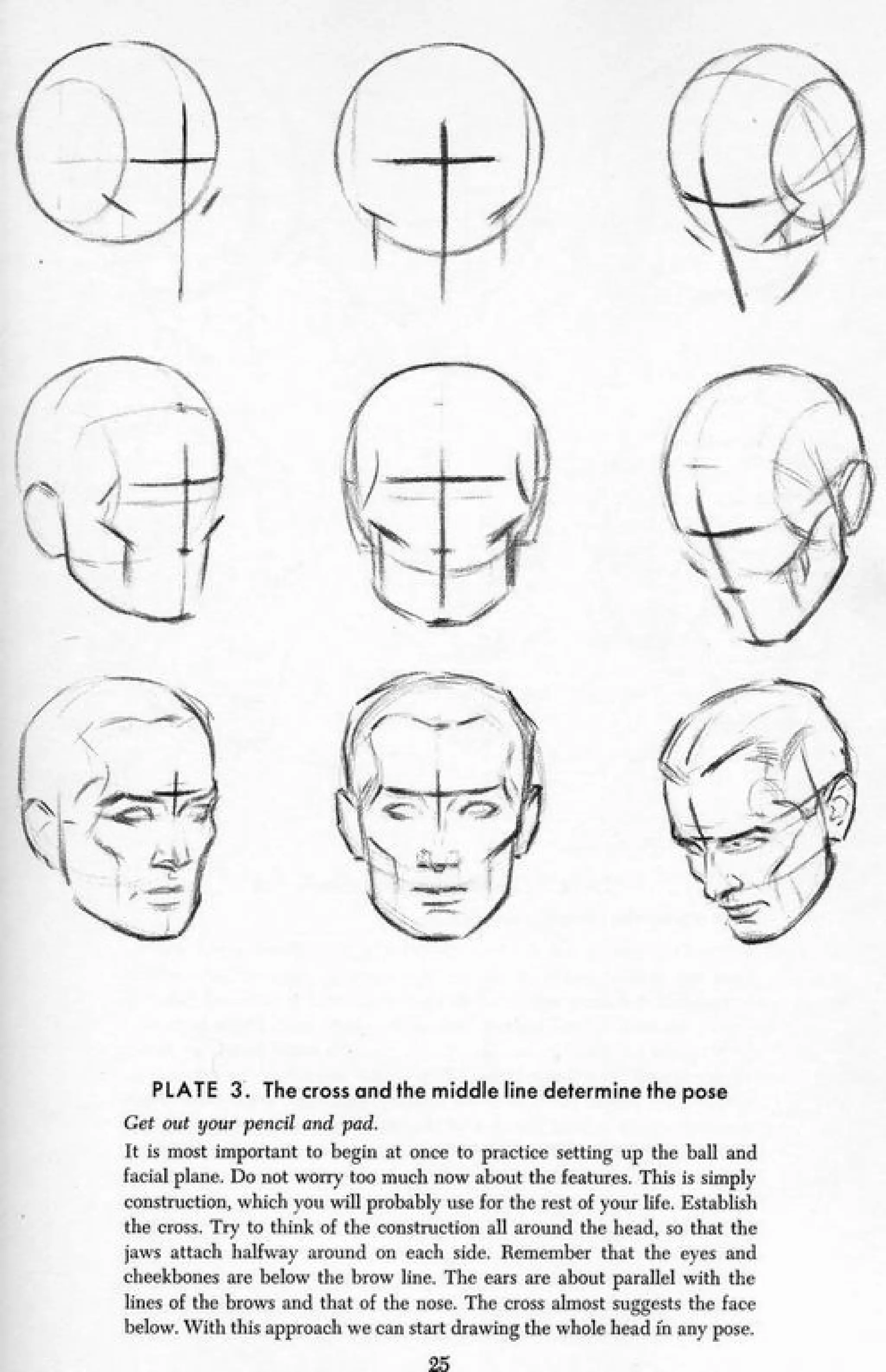 Andrew loomis drawing the head and hands | PDF