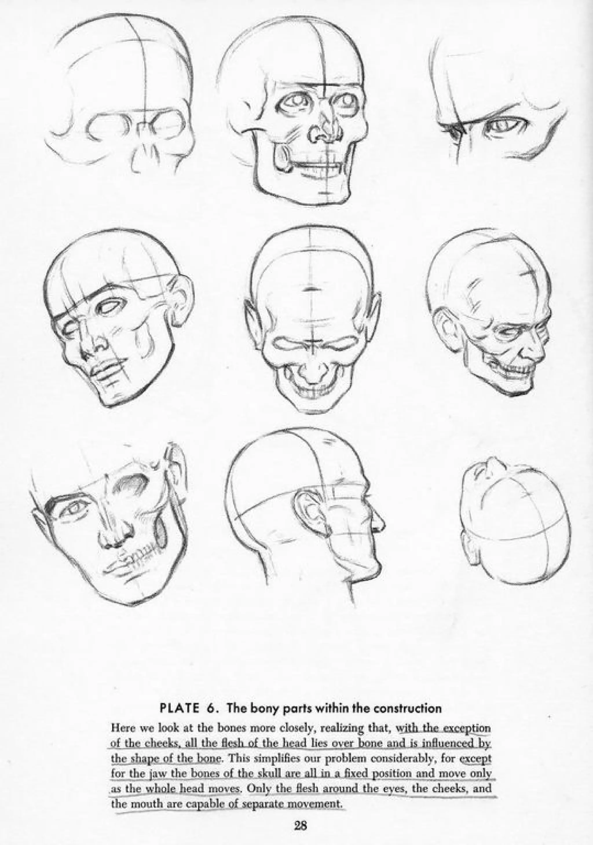 Andrew loomis drawing the head and hands | PDF