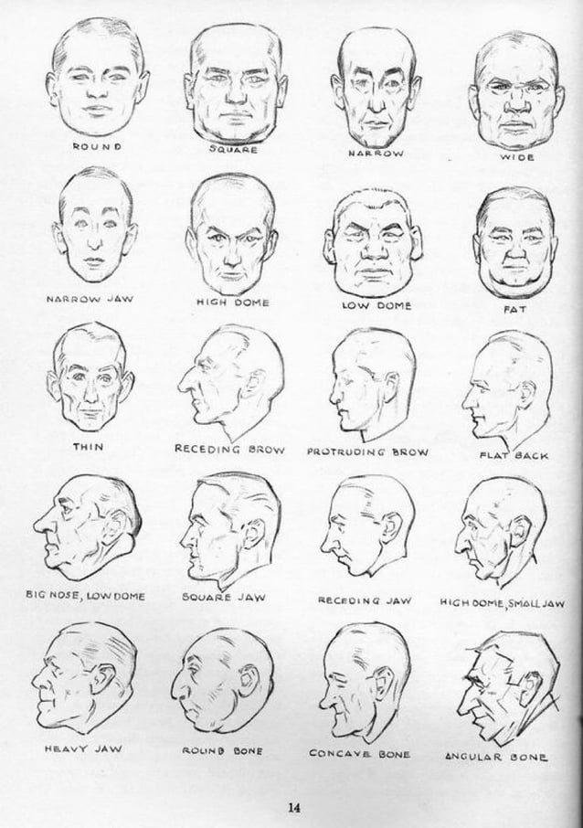 Andrew loomis drawing the head and hands | PDF