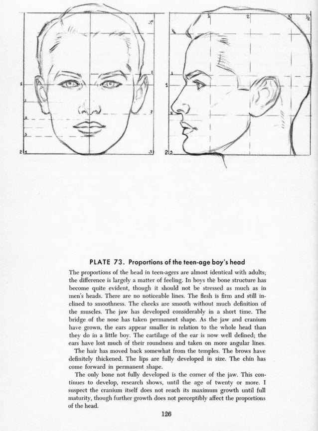 Andrew loomis drawing the head and hands | PDF