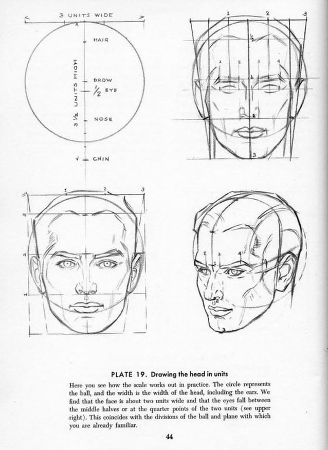 Andrew loomis drawing the head and hands | PDF