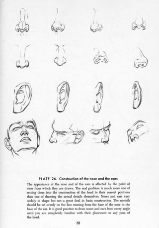 Andrew loomis drawing the head and hands | PDF