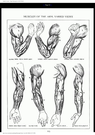 Andrew loomis figure drawing for all it's worth | PDF