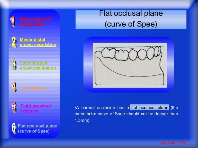 Andrews Six keys of occlusion Andrews Six keys of occlusion