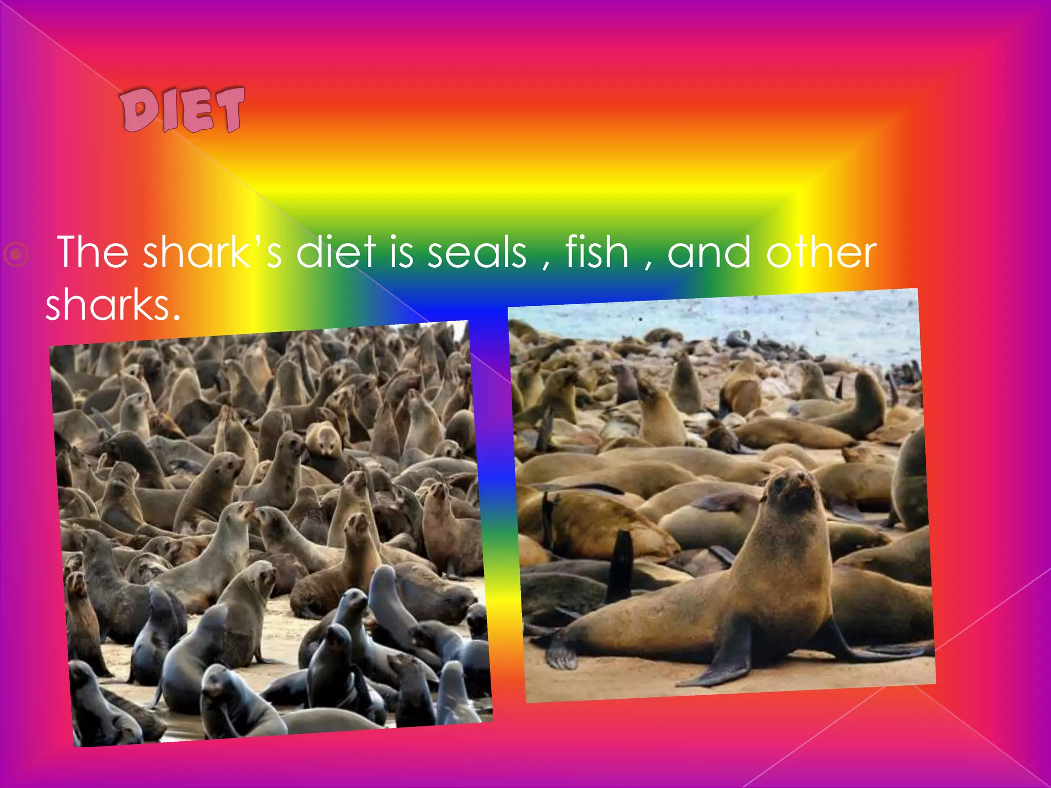 the great white shark by Andrew | PPTX