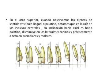 Andrews llaves | PPT