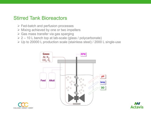 Biopharmaceutical Process Development: Good Manufacturing Practices or ...