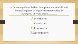 Organisms's Interaction.pptx