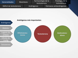 Andrógenos y fármacos antiandrógenos | PPTX