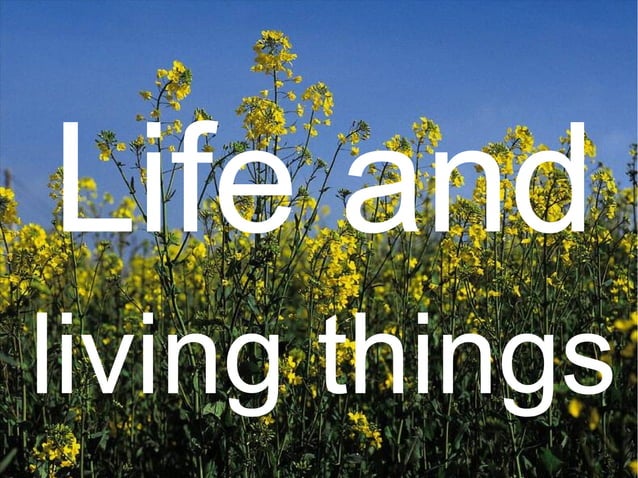 Life and living things | ODP