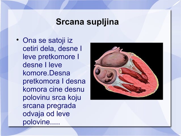 Andrijana nikolic i5 srce | PPT
