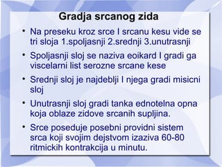 Andrijana nikolic i5 srce | PPT