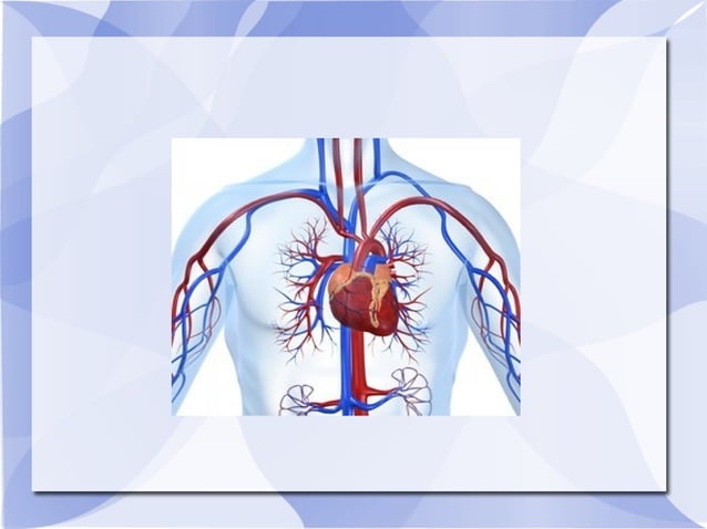 Andrijana nikolic i5 srce | PPT