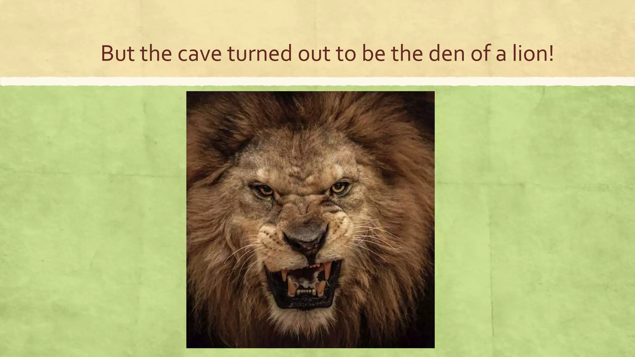 Androcles and the lion | PPTX