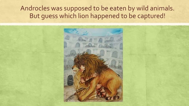 Androcles and the lion | PPTX | Cats | Pets