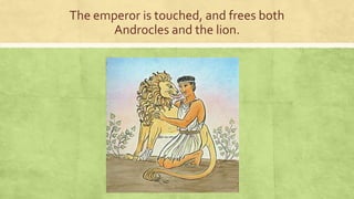 Androcles and the lion | PPTX