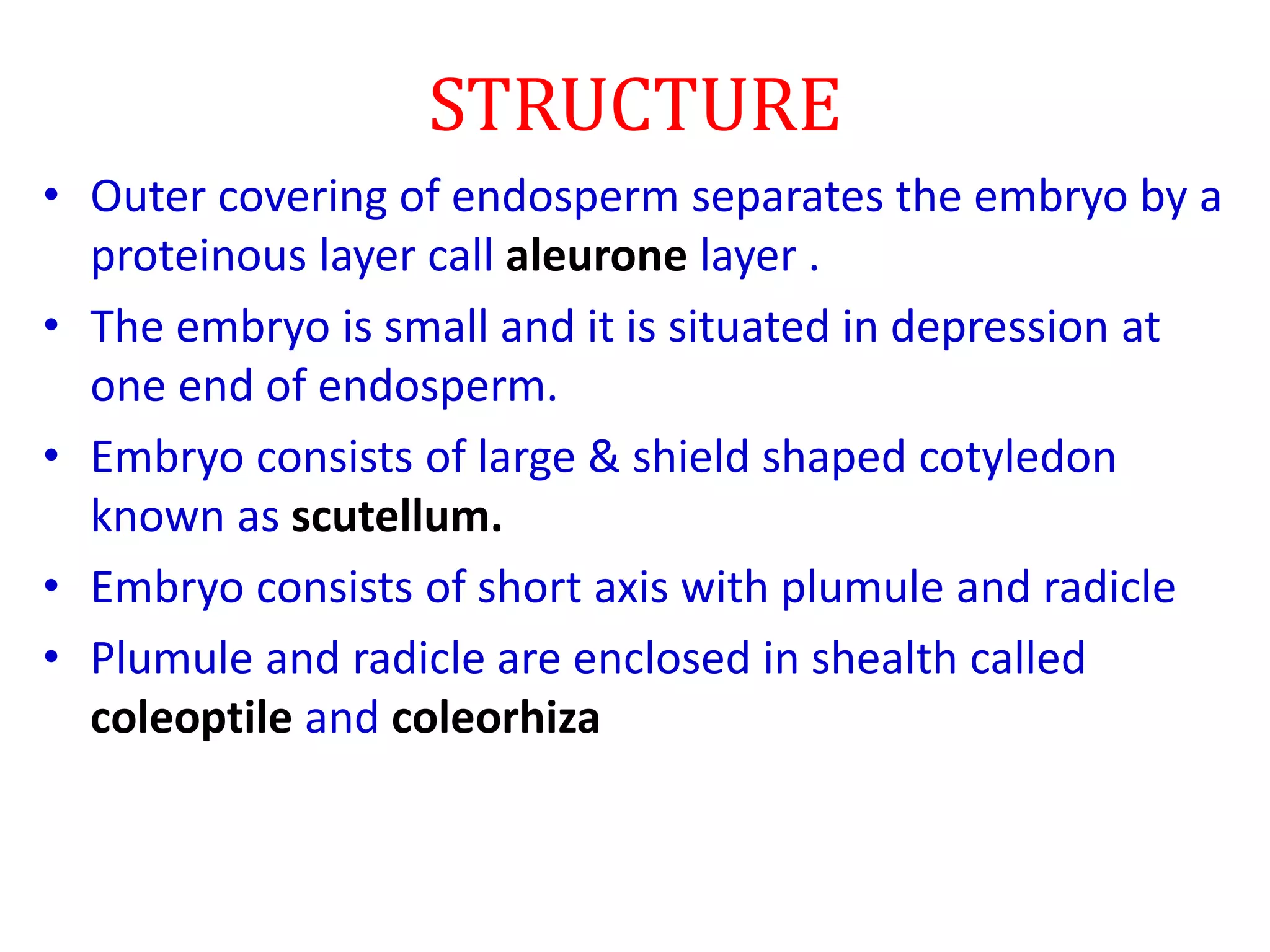 Androecium(male reproductive part) | PPTX