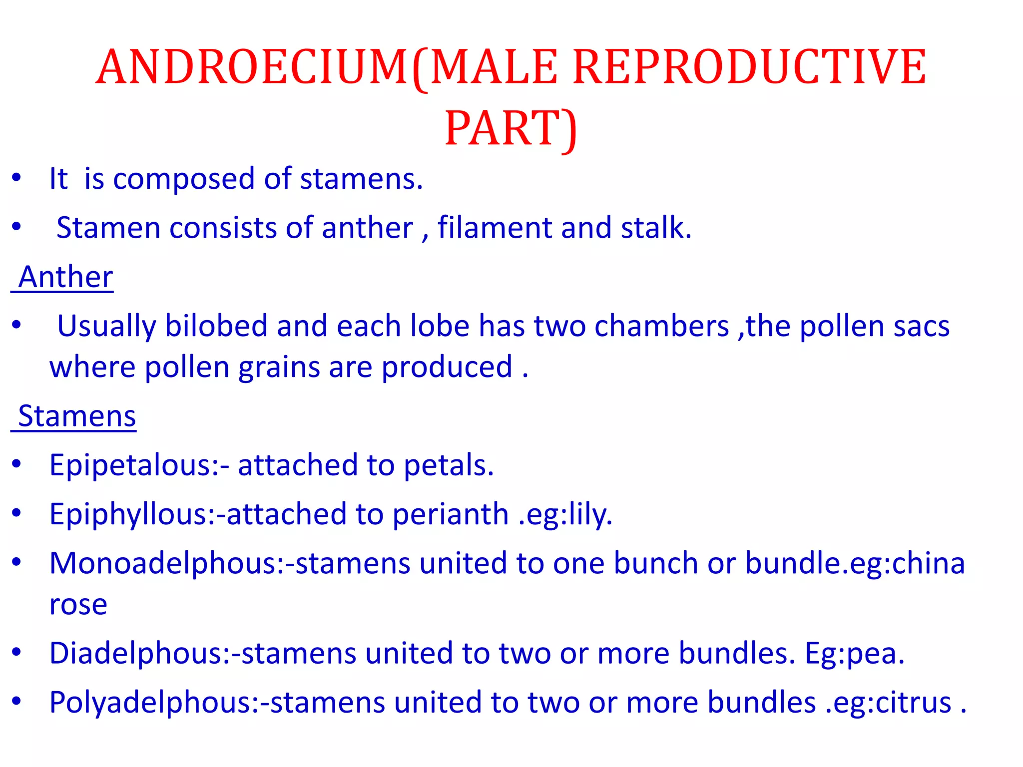 Androecium(male reproductive part) | PPTX