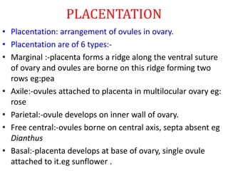 Androecium(male reproductive part) | PPTX