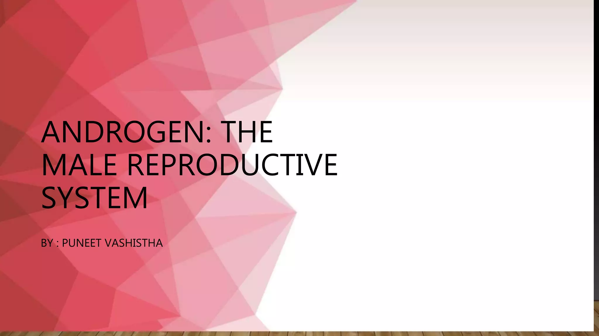 Androgen: the male reproductive system | PPTX