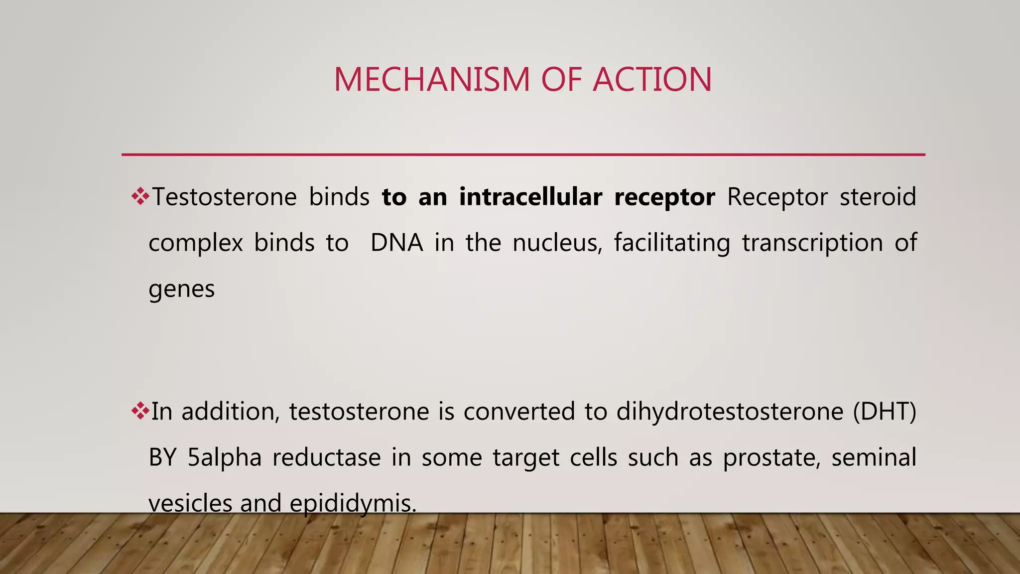 Androgen: the male reproductive system | PPT