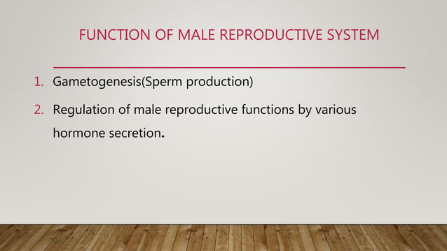 Androgen: the male reproductive system | PPT