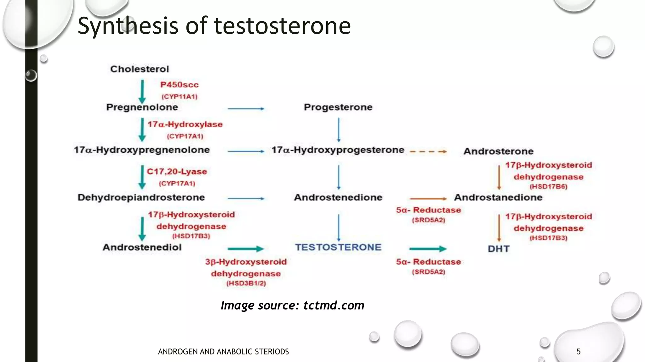 ANDROGEN AND ANABOLIC STEROIDS.pptx