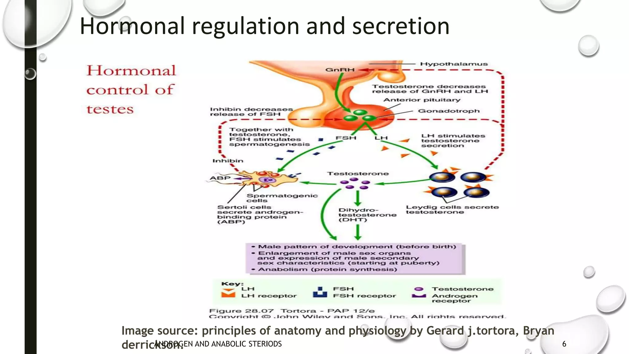 ANDROGEN AND ANABOLIC STEROIDS.pptx