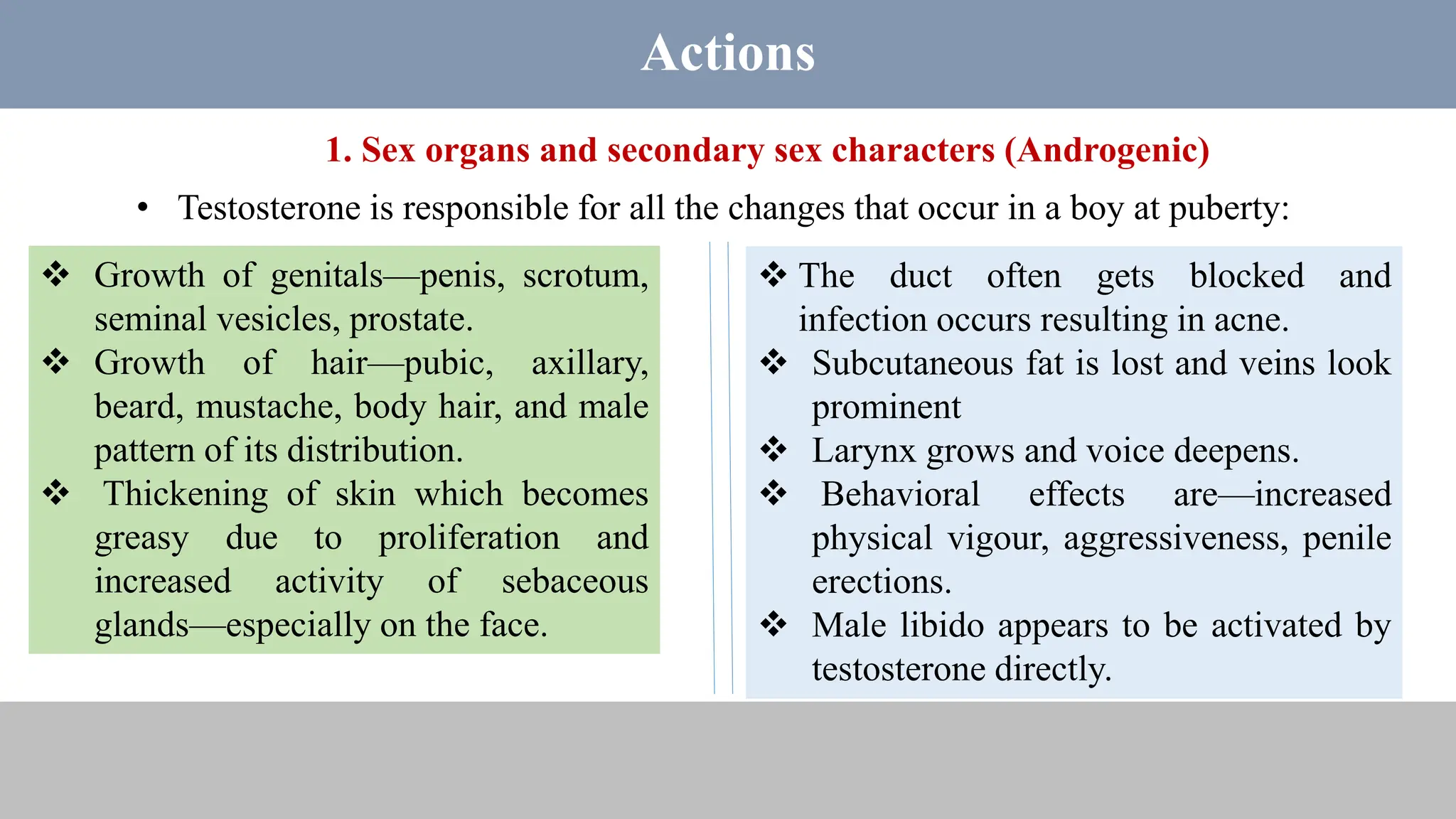 Androgen ppt by Baasir Umair Khatak.pptx
