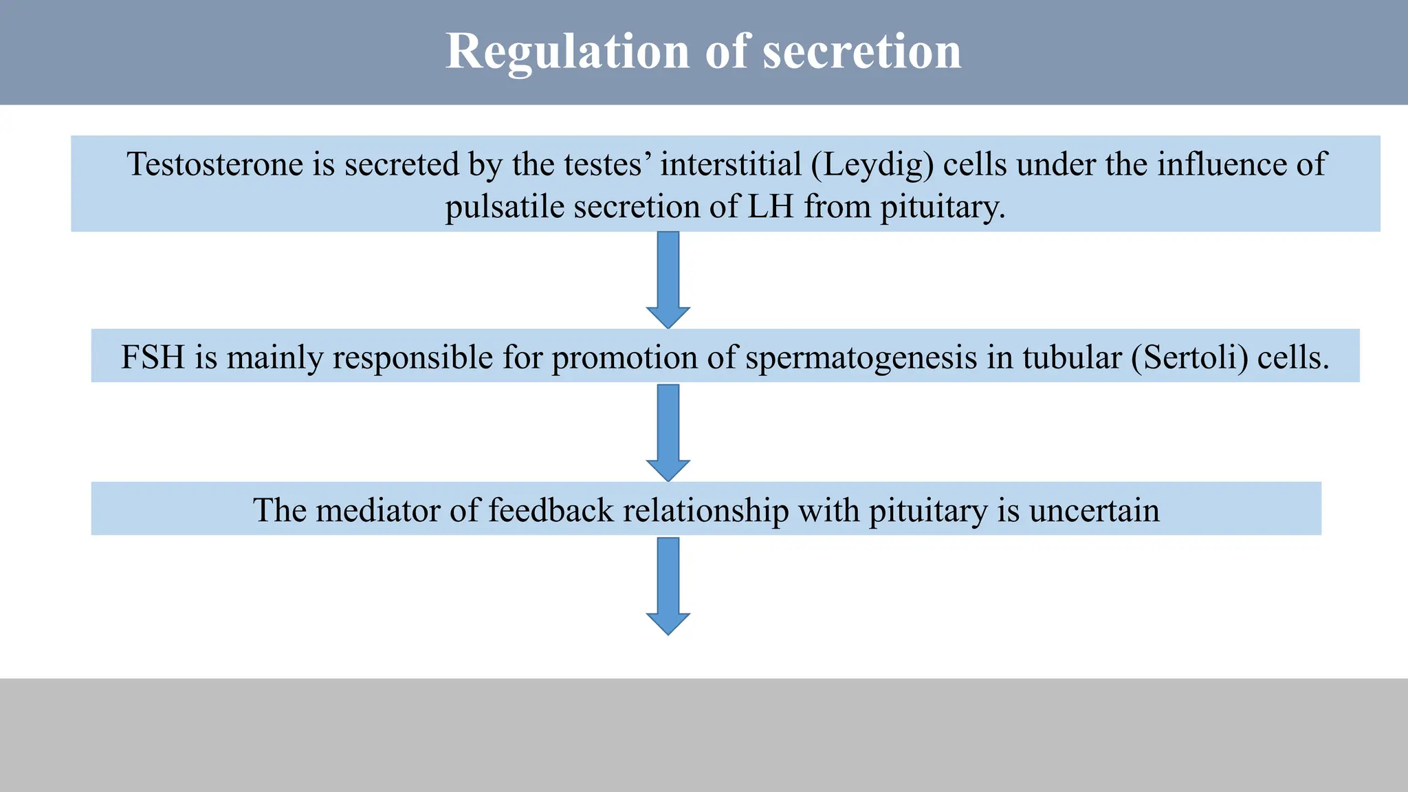 Androgen ppt by Baasir Umair Khatak.pptx