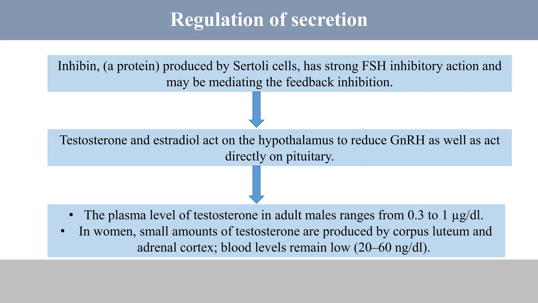 Androgen ppt by Baasir Umair Khatak.pptx