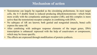 Androgen ppt by Baasir Umair Khatak.pptx